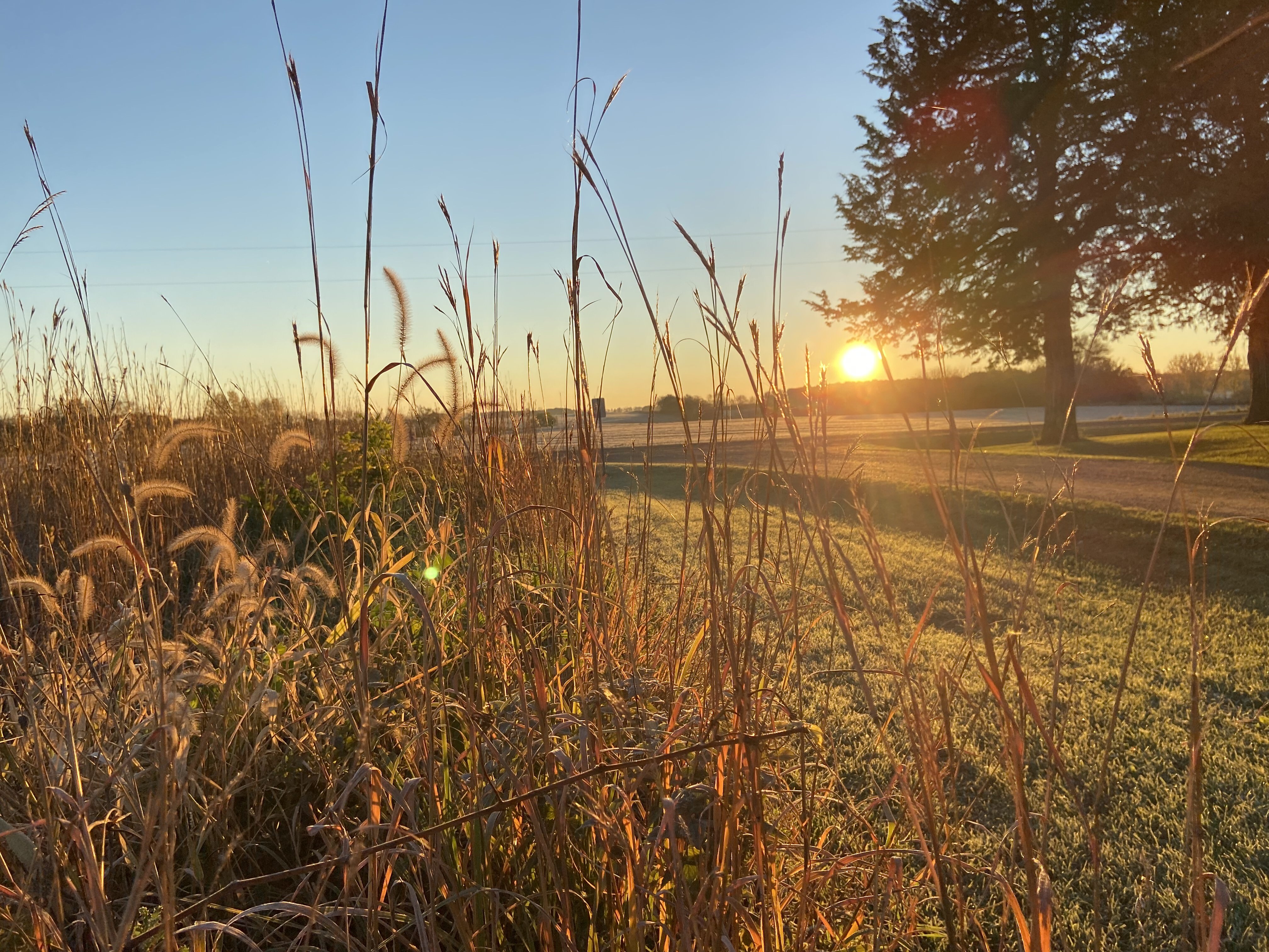 Fall Fling Fundraiser for Ney Nature Center | Ney Nature Center