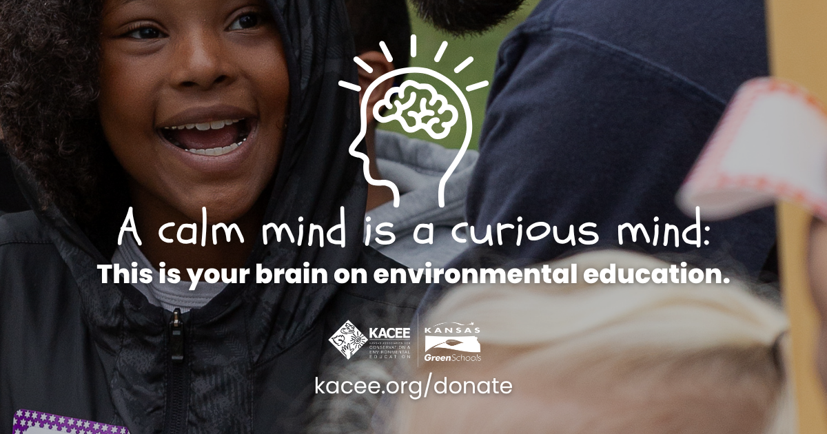 A Calm Mind is a Curious Mind: This is Your Brain on Environmental ...