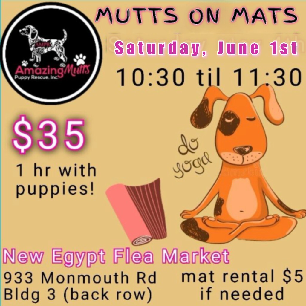 Mutts on Mats - Yoga with Puppies