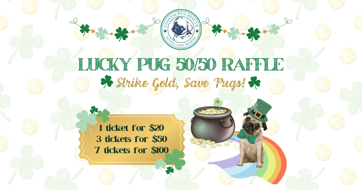 🍀 Lucky Pug 50/50 Raffle – Strike Gold, Save Pugs! 🍀 | Coastal Pug Rescue