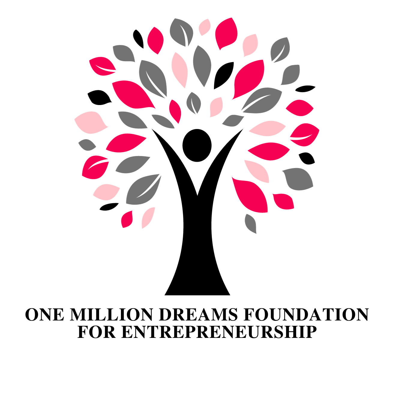 One Million Dreams Foundation For Entrepreneurship