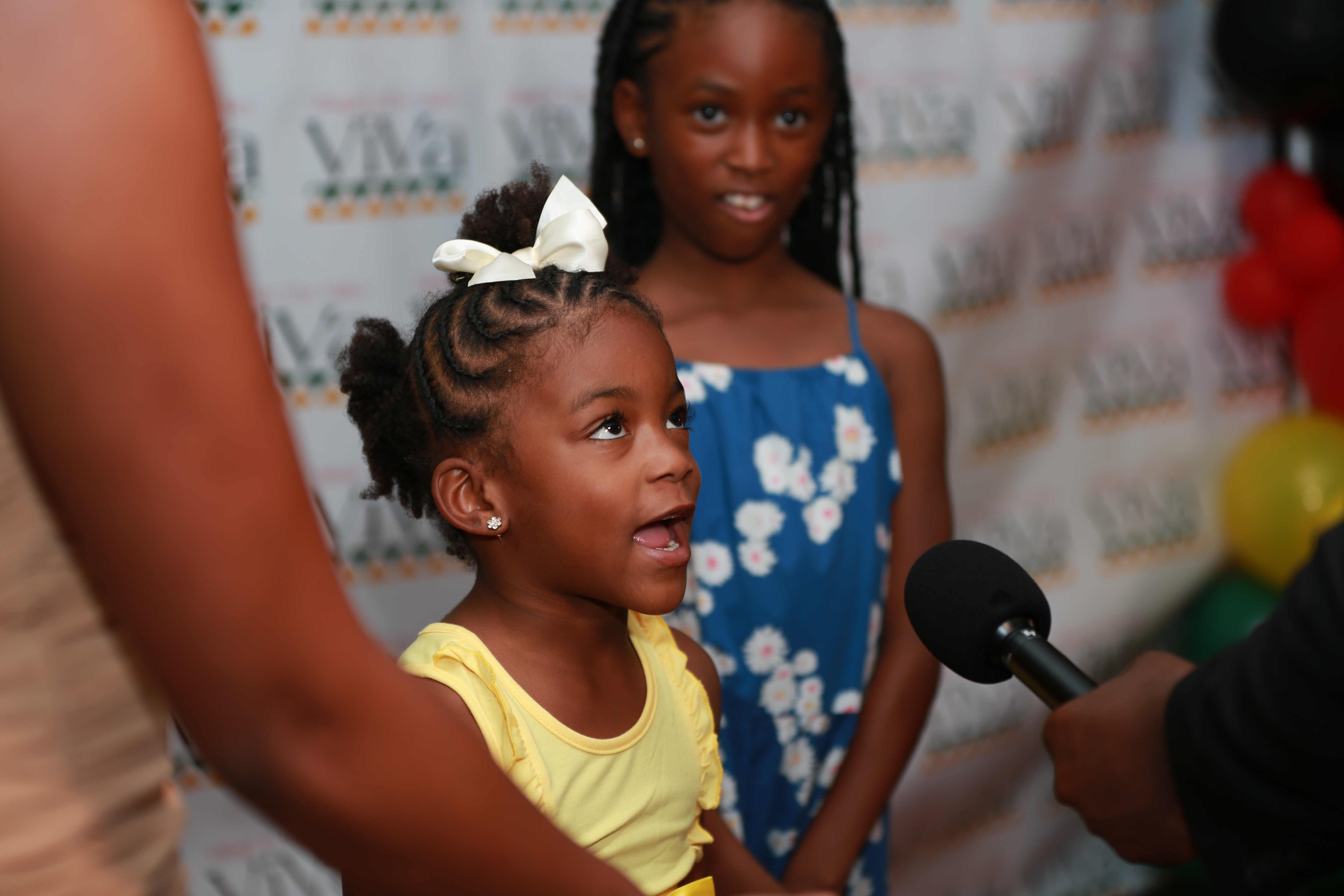Juneteenth Perfecting Unity Celebration 2024 | Village in the Valley (ViVa)