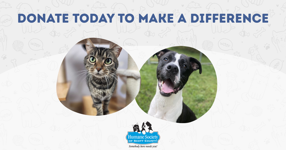 Donate Today to Make a Difference!