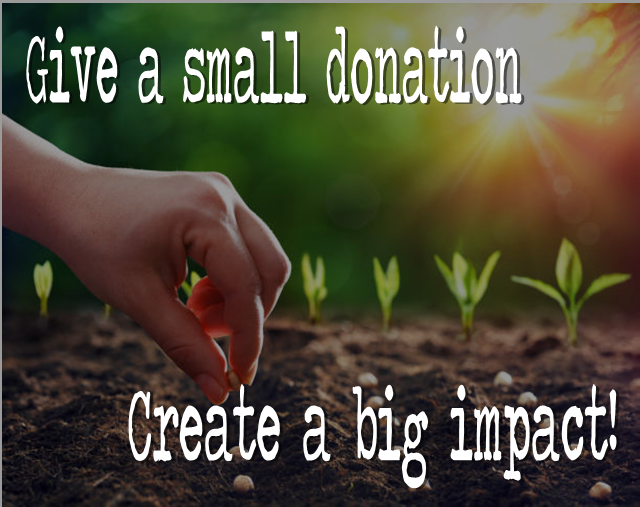 Small Town Project: Micro Donation Campaign | Small Town Project