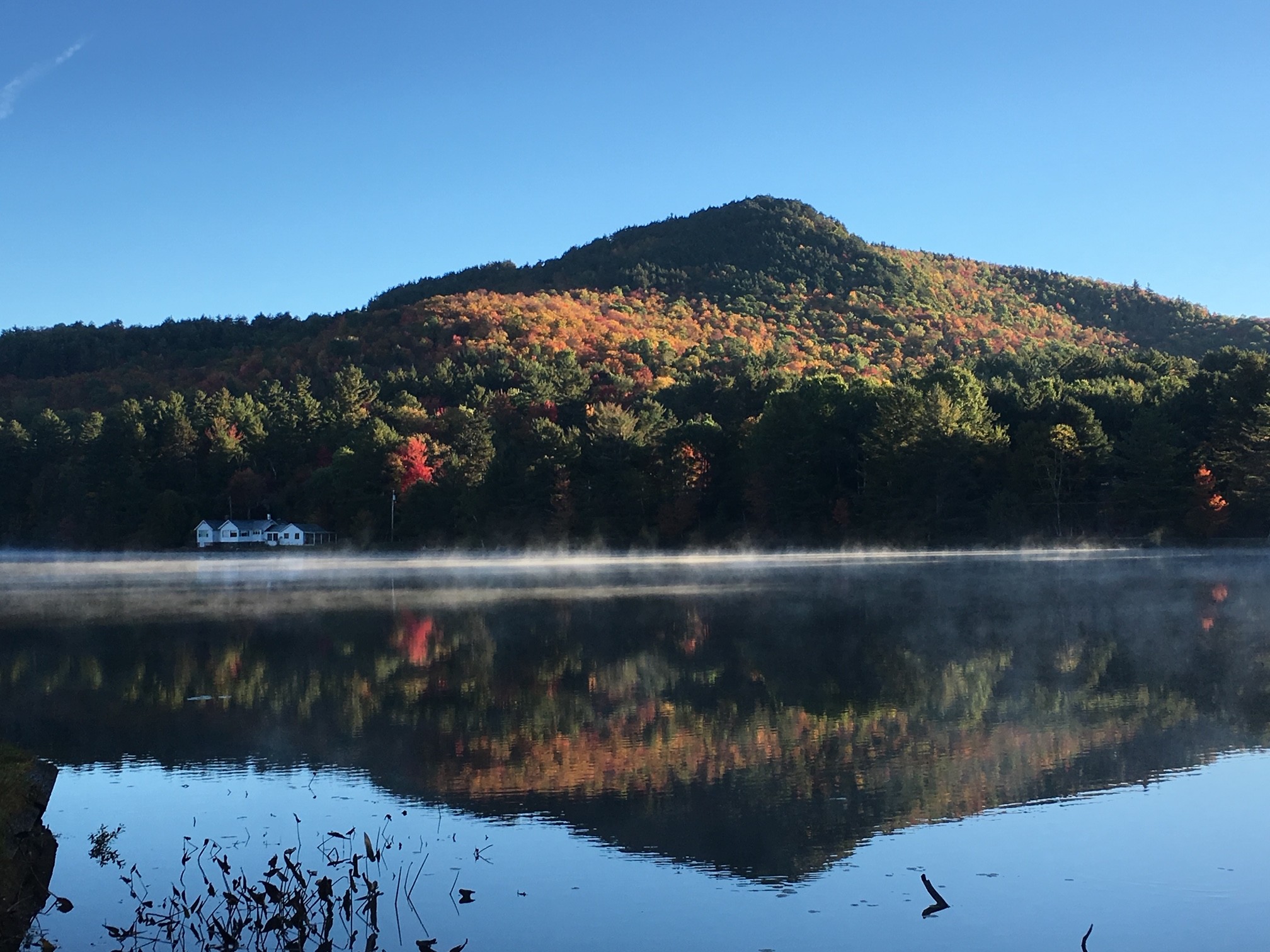 Foil The Milfoil: The Moody Pond Challenge