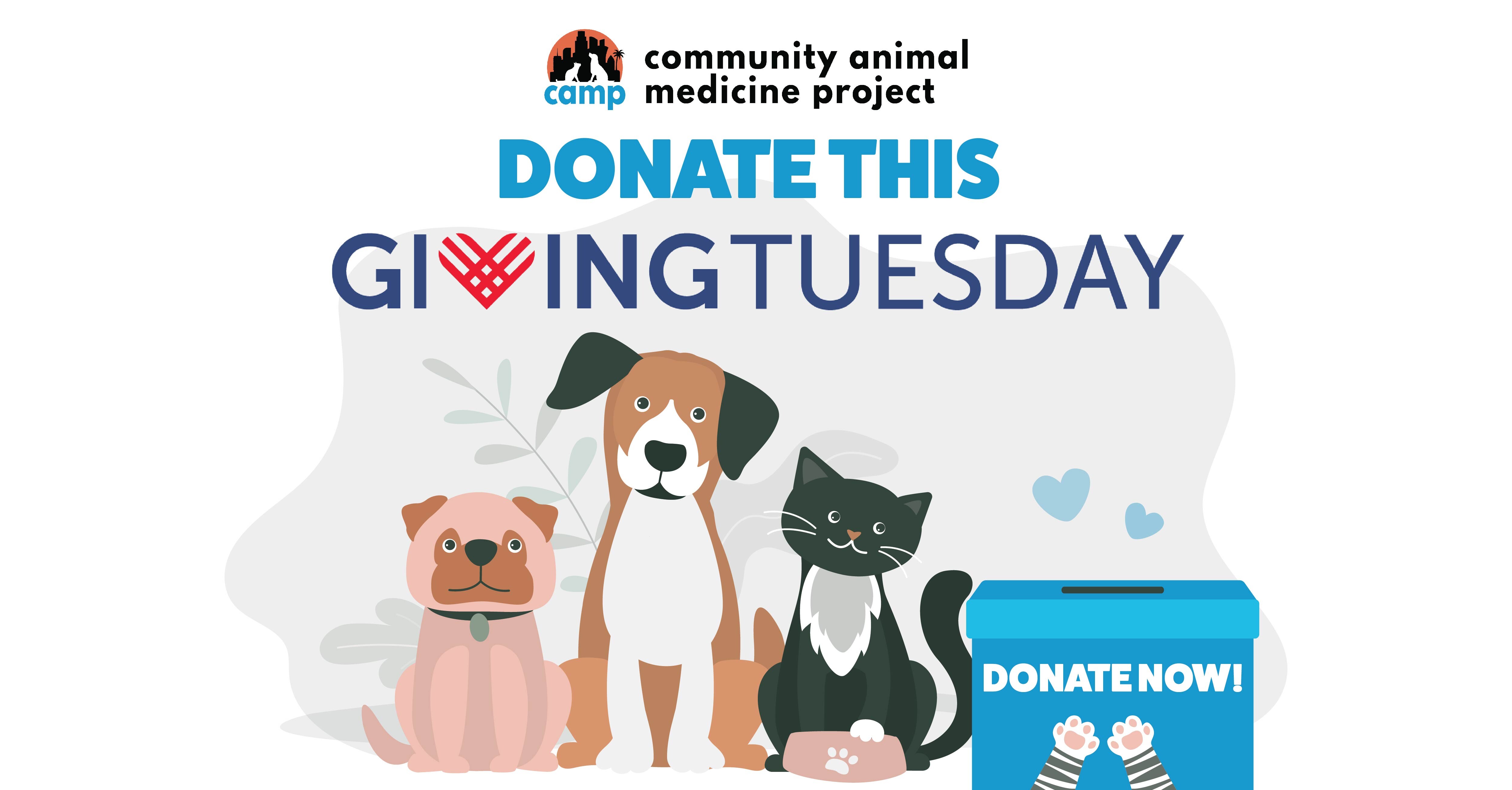 Camp S Giving Tuesday Fundraising Campaign Community Animal Medicine