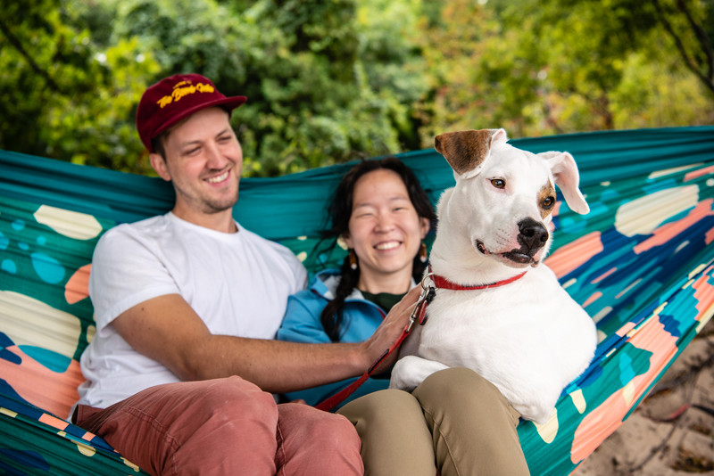 Aloha Animals Annual Fund