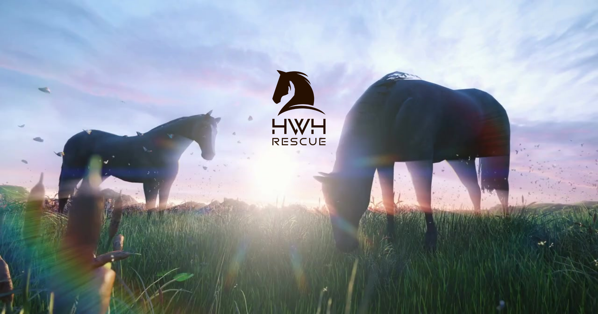 Be a Hero - Join the HWH Herd