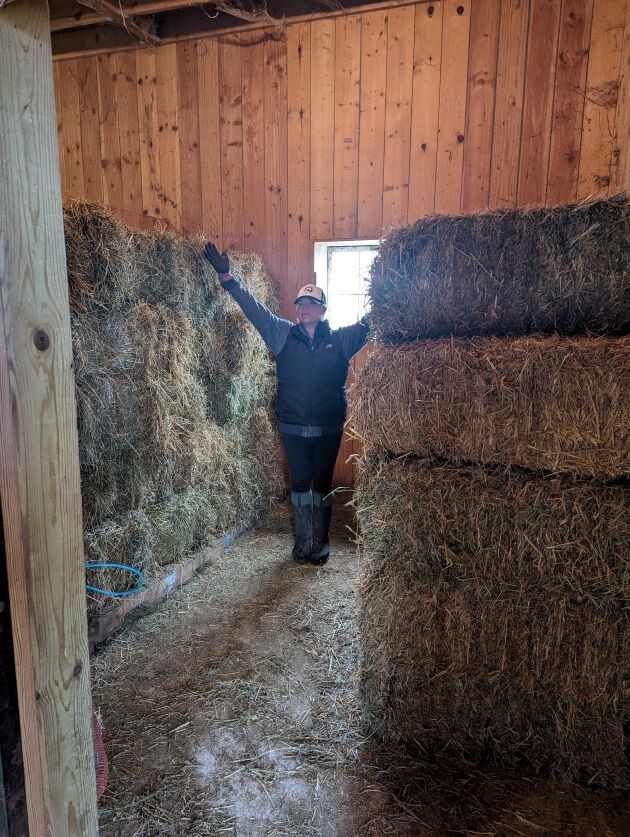 Hey Hey Hay!