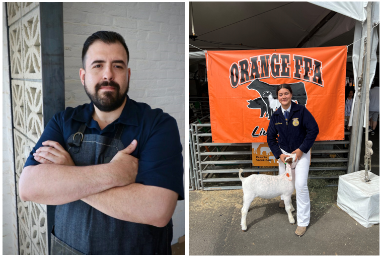 Team Ohana Party for MaxLove Project's FCC Challenge | MaxLove Project