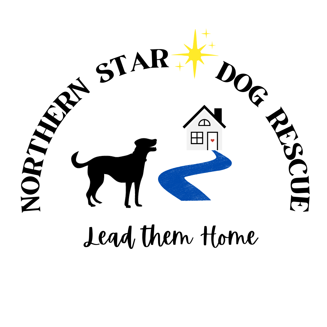 NSDR Silent Auction
