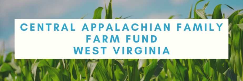 Donate to SNAP Stretch