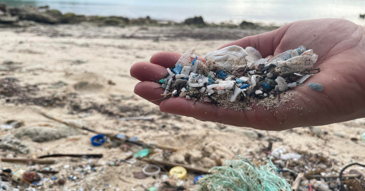 Plastic Ocean Project Inc. – Giving Hub