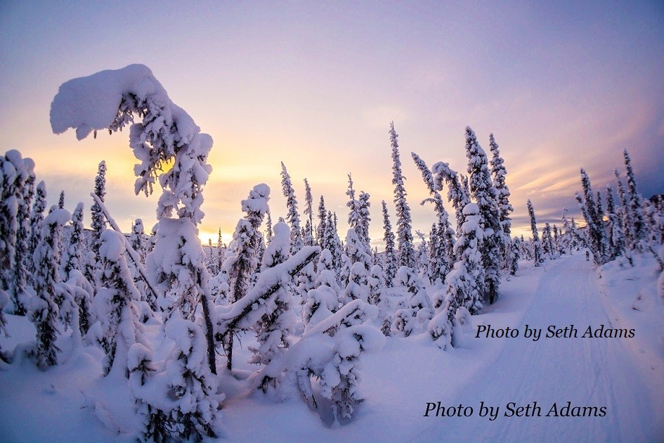 Support Interior Alaska Land Trust | Interior Alaska Land Trust