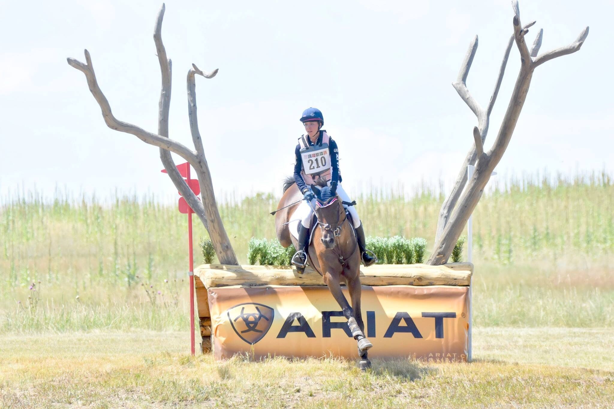 Bucks for Bayou Benefit at Colorado Horse Park! | Bayou Gulch Open ...