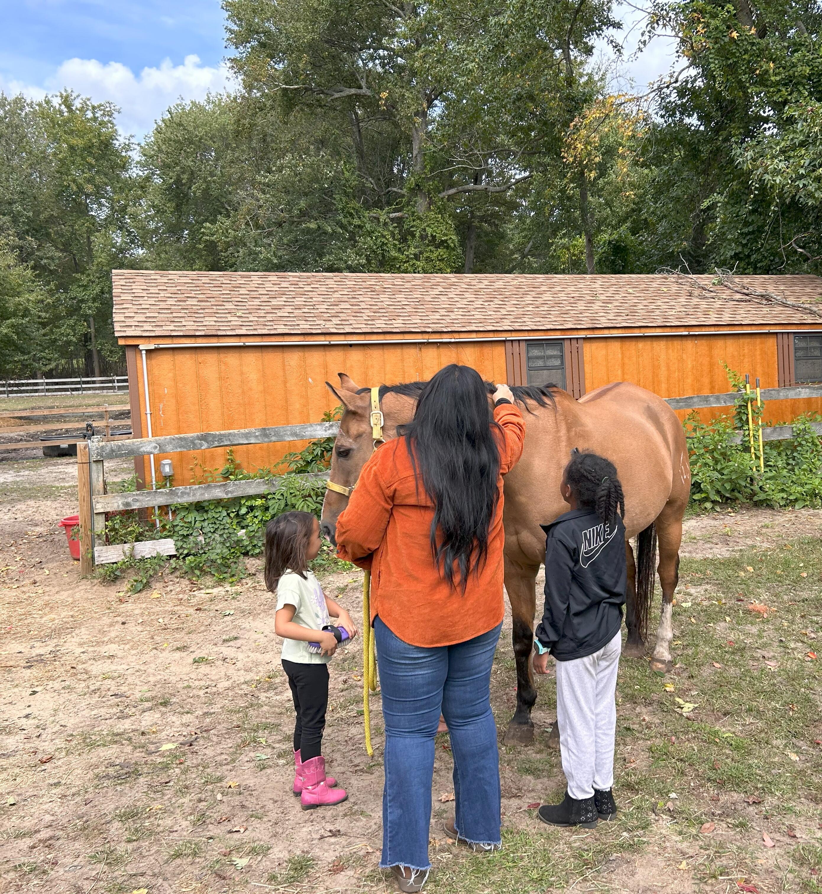 Urgent support Needed to Support our Farm | Angel and Jules Not So ...