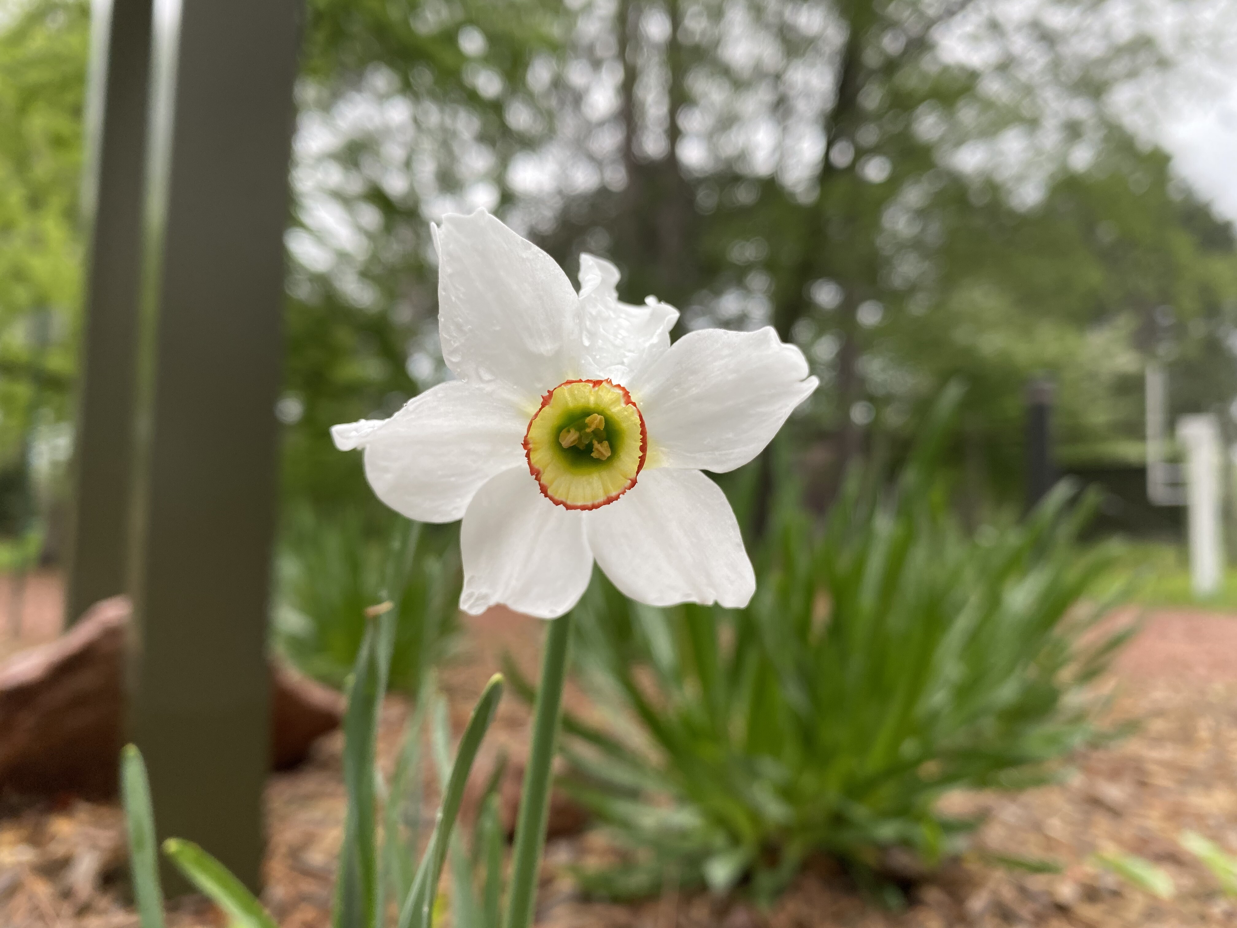 Hands-on Plants Prom
