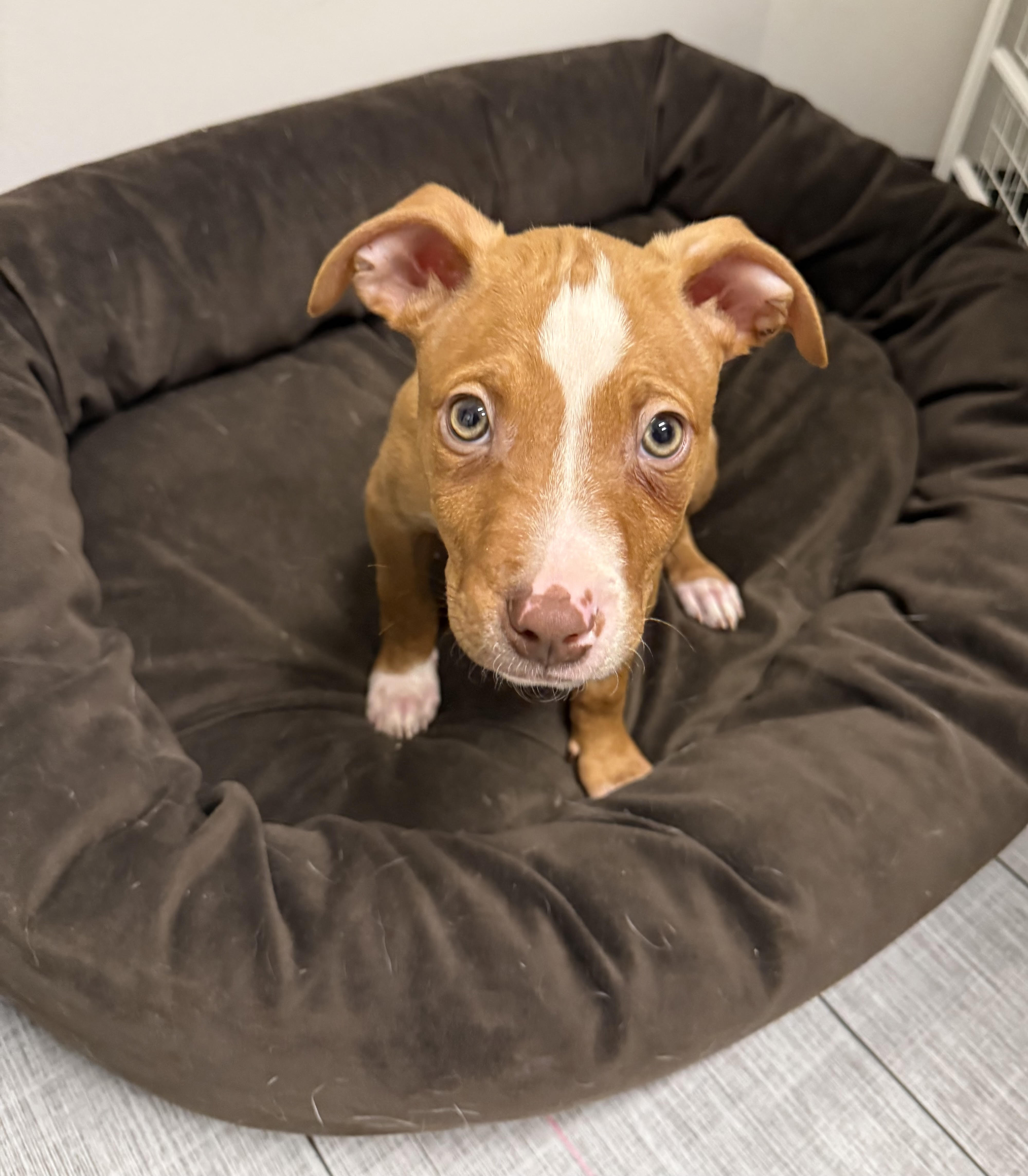 An Unexpected Situation