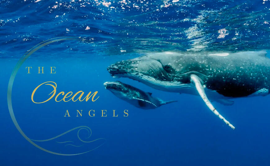Help Us Protect Our Blue Planet!