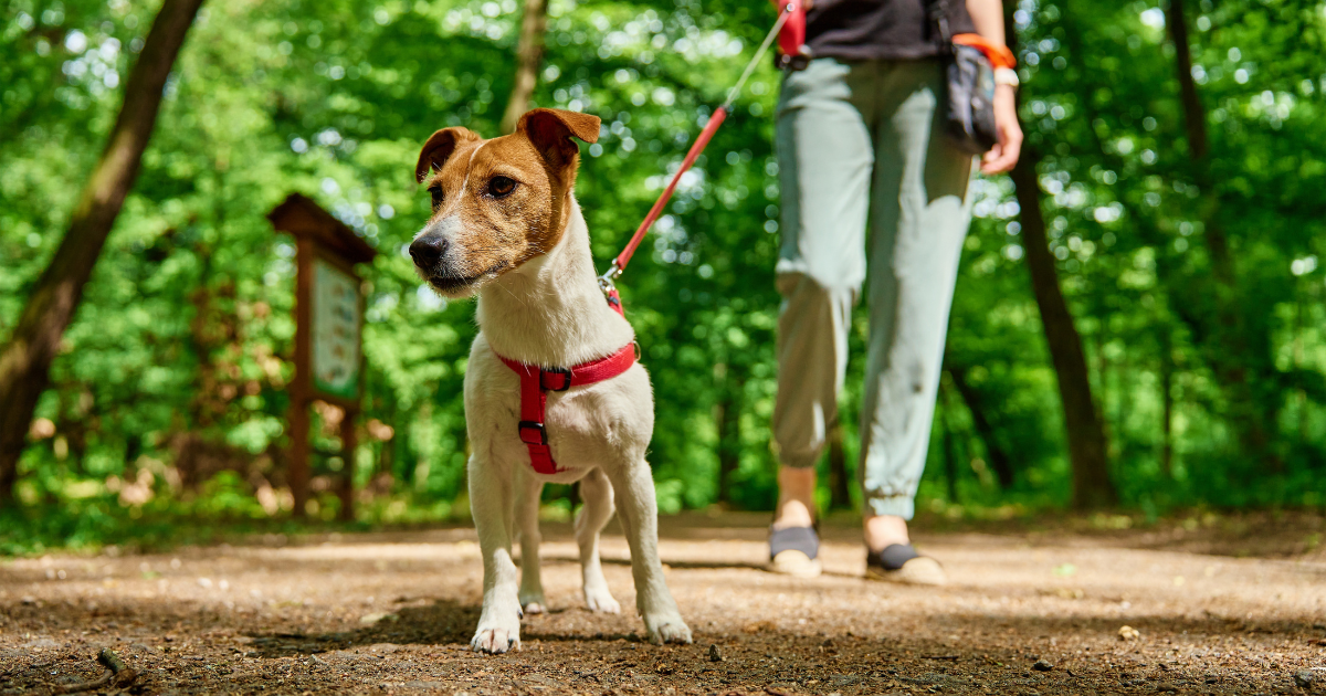 The APA's Hike With a Hound: River's Edge Park | Animal Protective ...