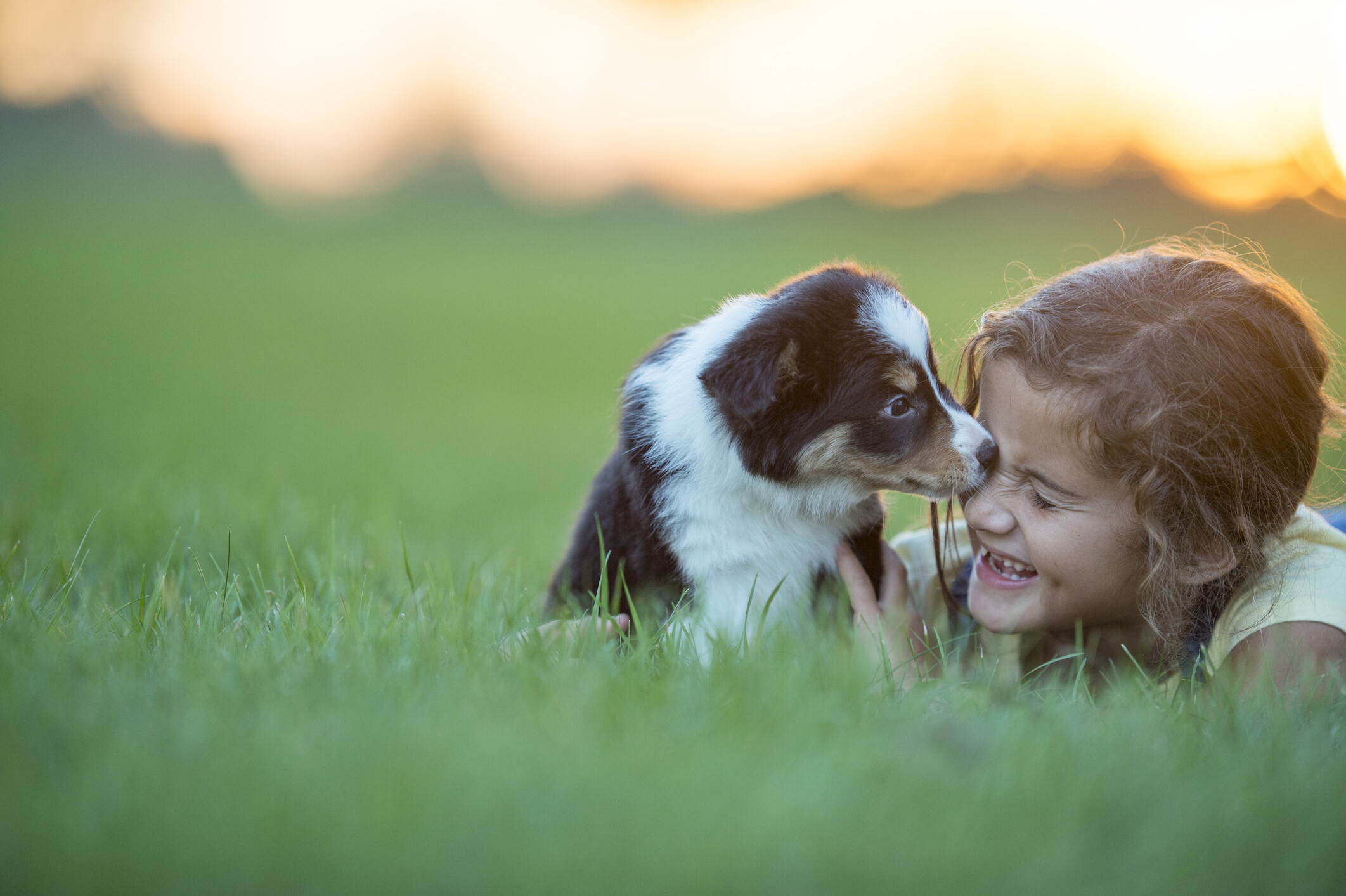 Better Health for Humans, Better Lives for Animals