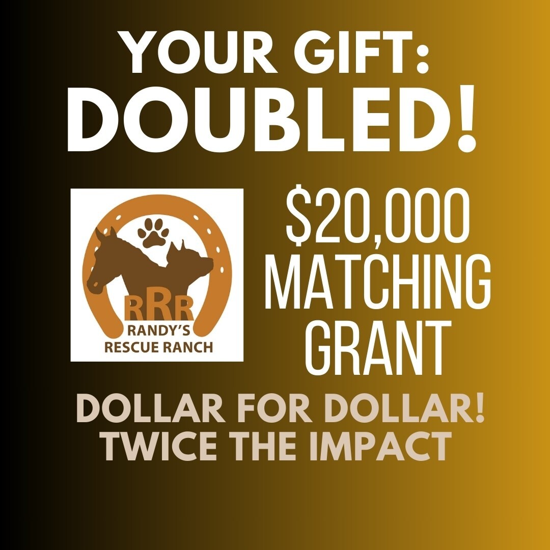 Letter From Randy | RRR Sanctuary