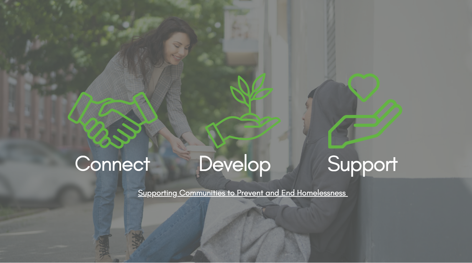 Subsidized Therapy Program