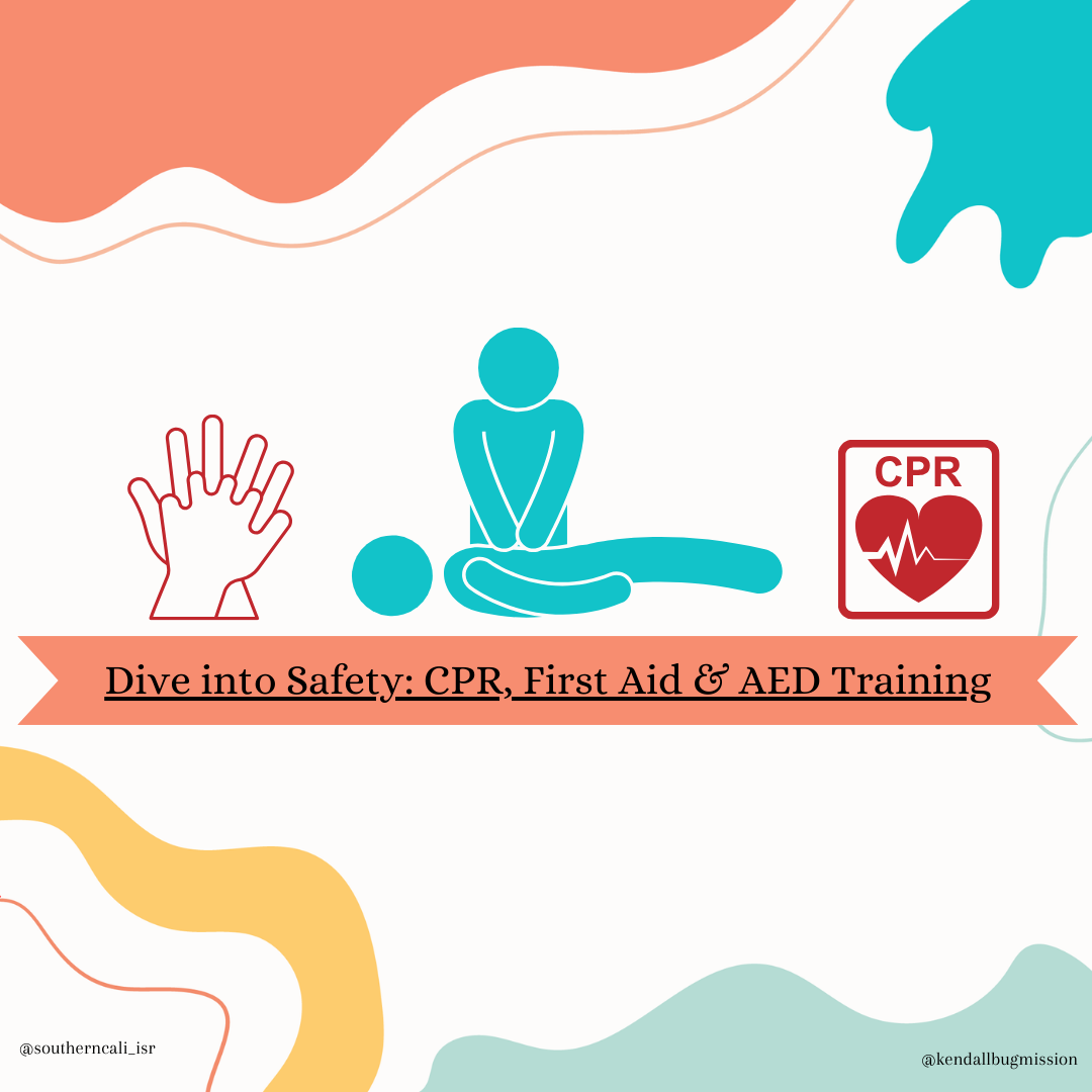 American Red Cross, CPR & First Aid Training Program