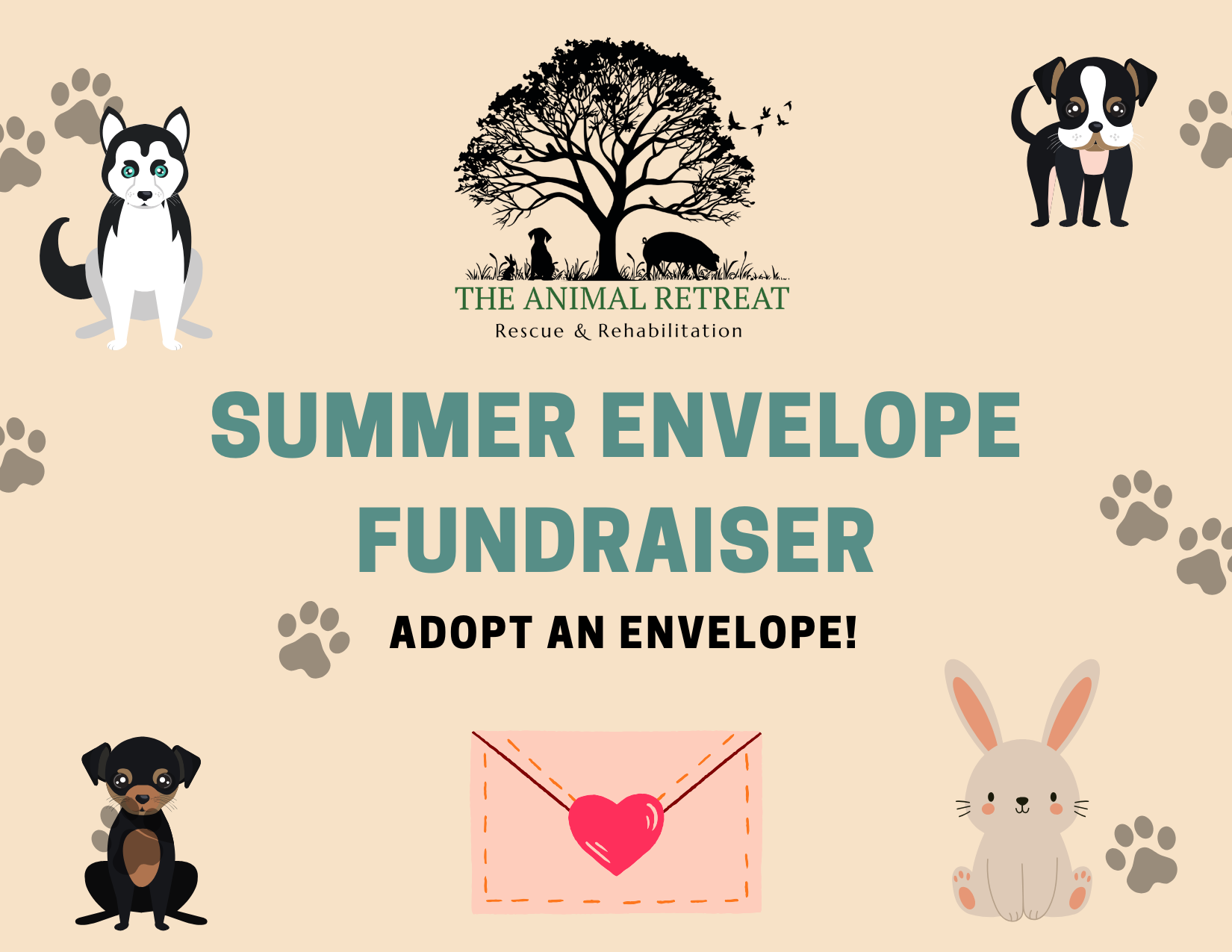 📩🐶 🐰Adopt your envelope this summer 🐰📩