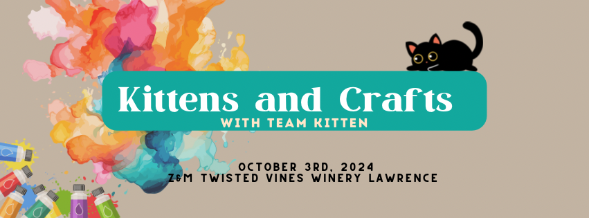 Team Kitten Fall Fundraiser