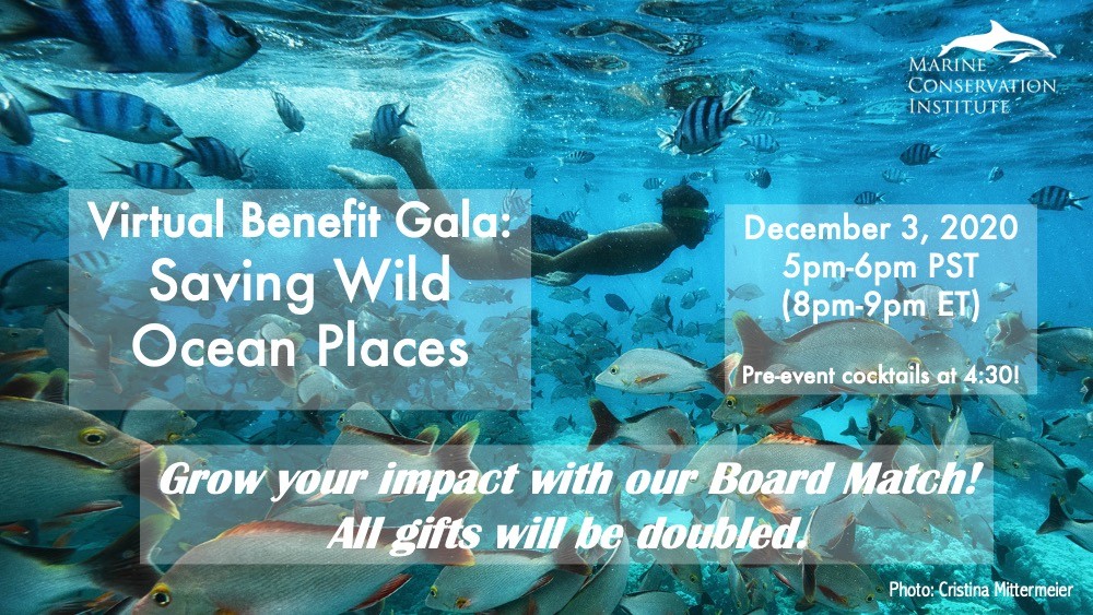 Marine Conservation Institute Virtual Benefit Gala