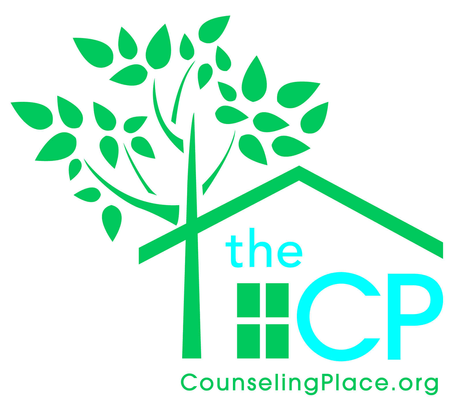 THE COUNSELING PLACE