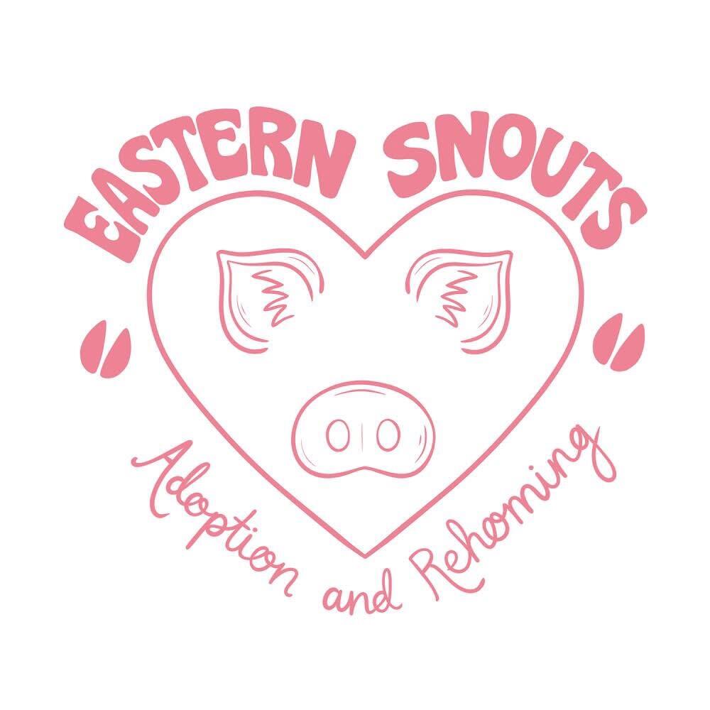 Become a Monthly Snout Hero: Spay & Neuter Sponsorship