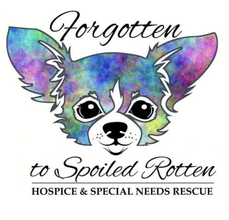 Support a senior dog today
