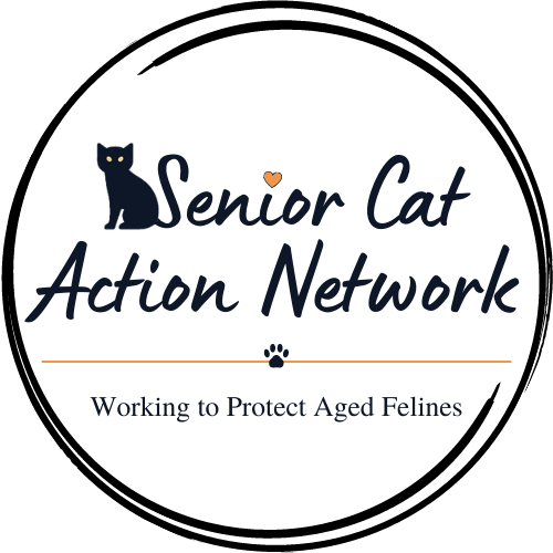 Help Support Super Senior Cats!