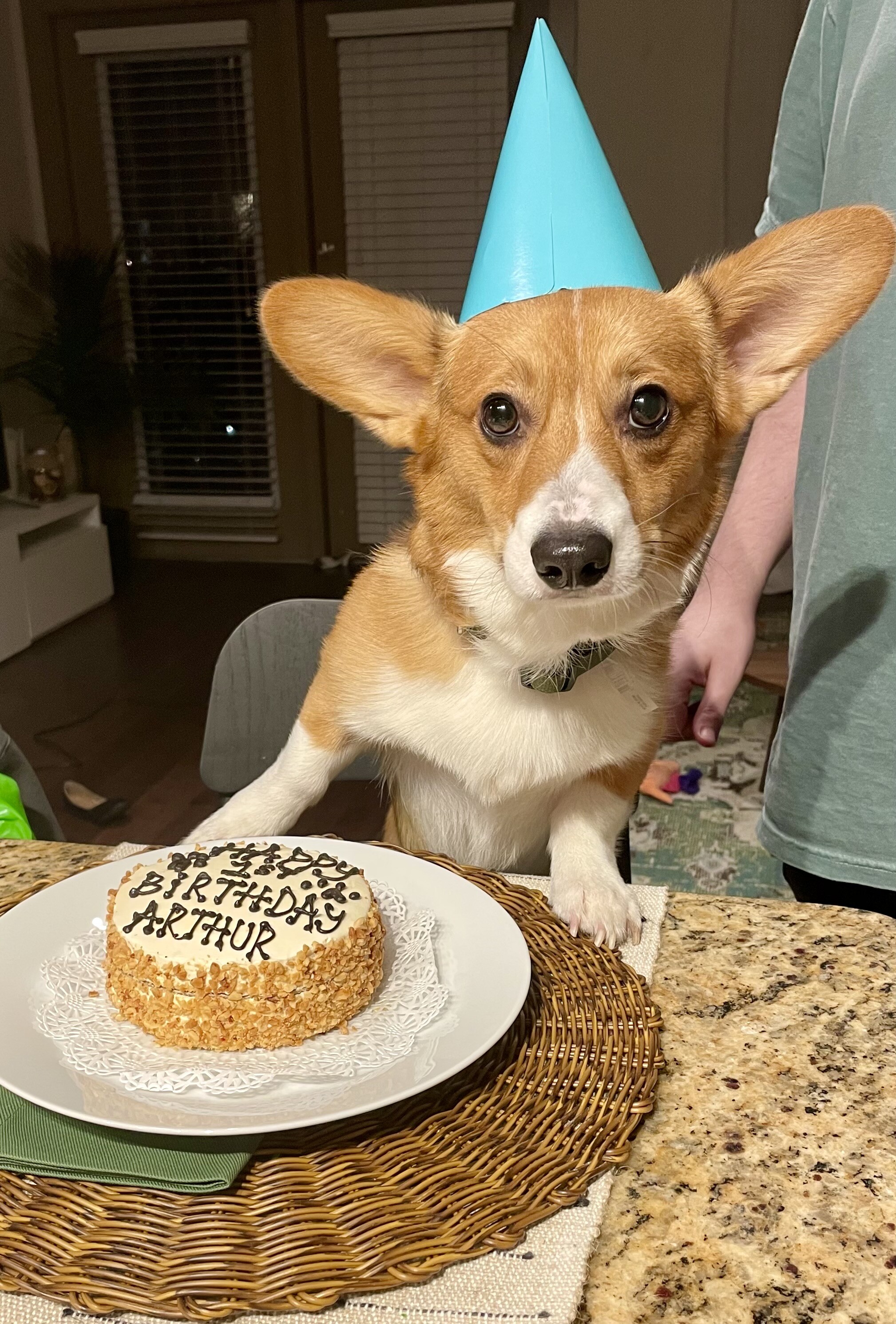 Michaels CARES Cute Pet Contest