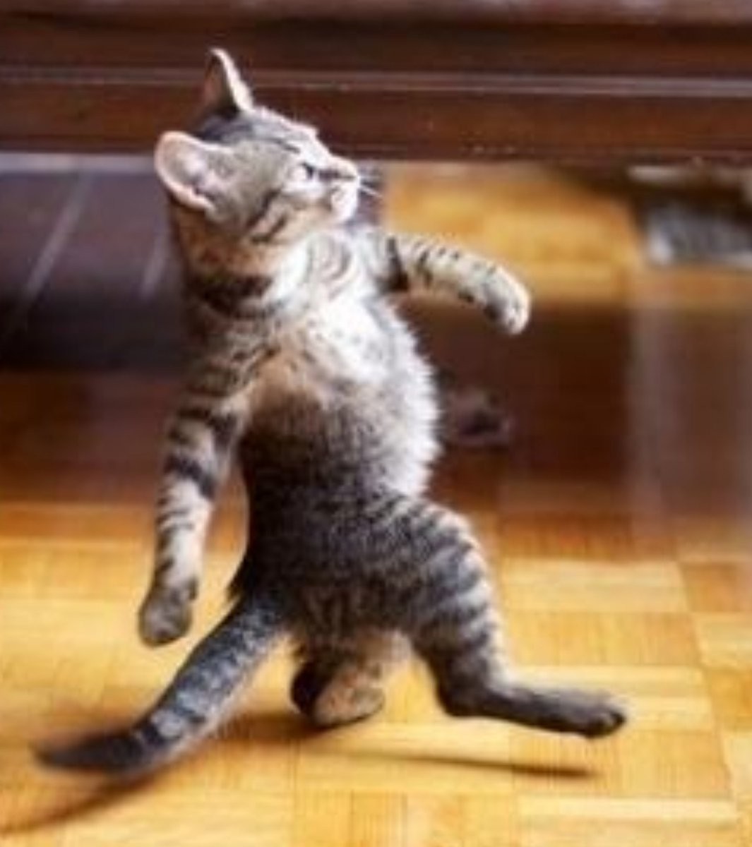 Strut Your Mutt 30 Day Challenge