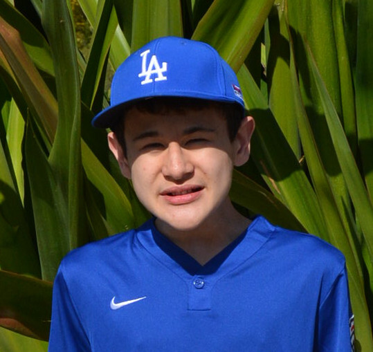 Help our District 68 challenger team get to the Little League World Series