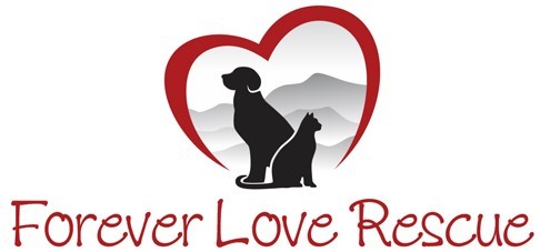 Forever Love Rescue