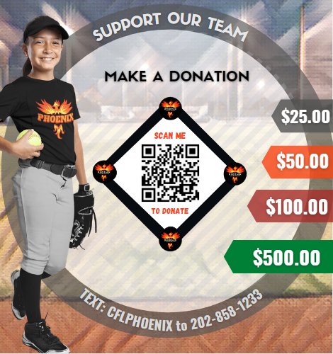 Central Florida Phoenix Fastpitch Softball 12U Team Fundraiser