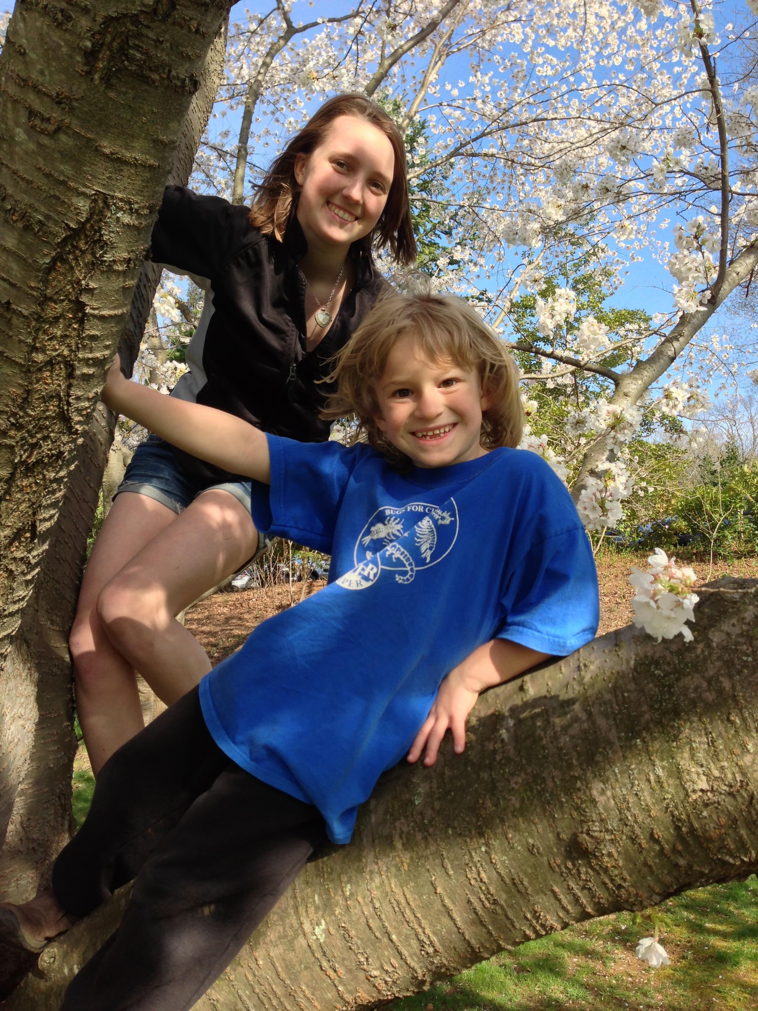 Constitutional Green Amendments for Now & Always | Green Amendments for ...